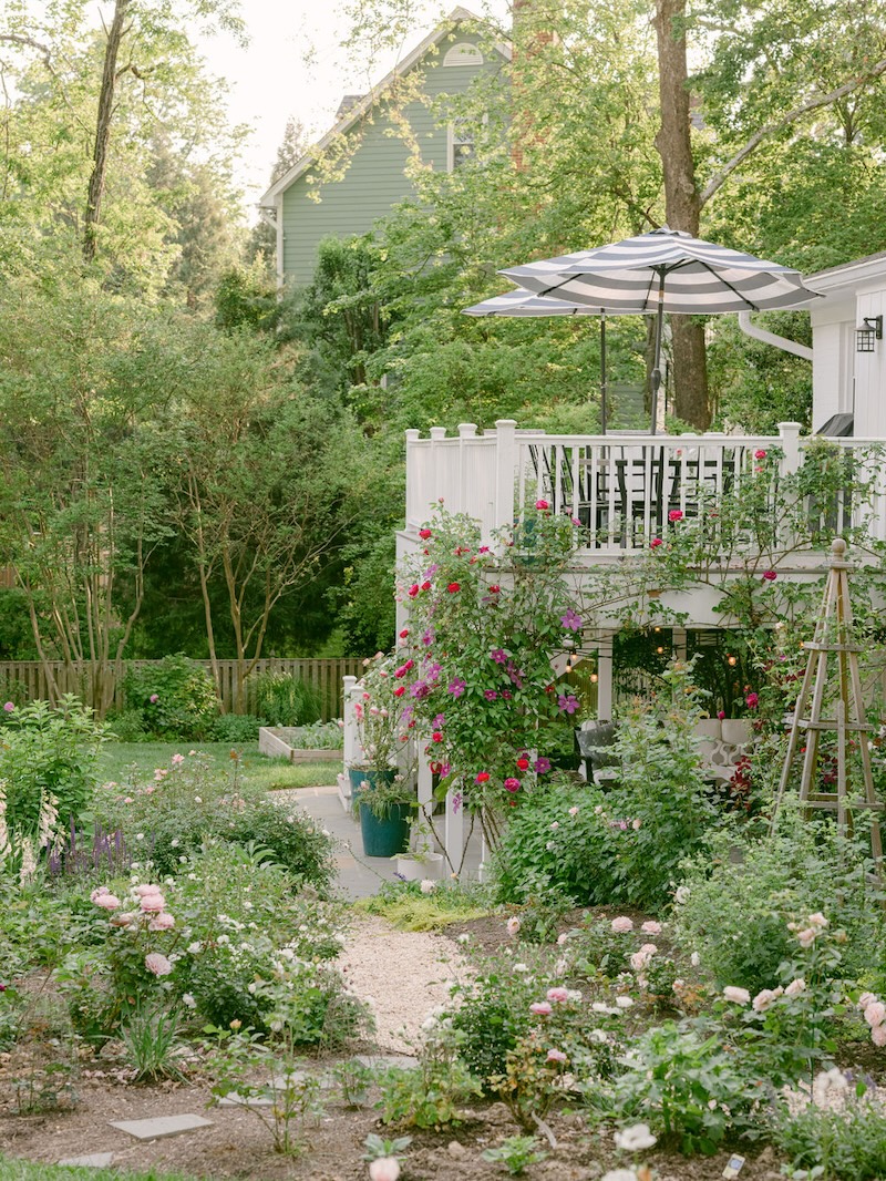 Gardening Q & A With Laura - Laura Hooper Design House